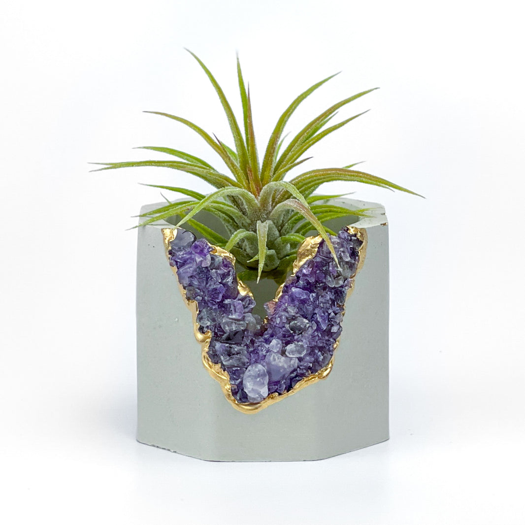 GEODE AIR PLANT HOLDERS -CRYSTAL SUCCULENT PLANTER POT aura reiki gift ...