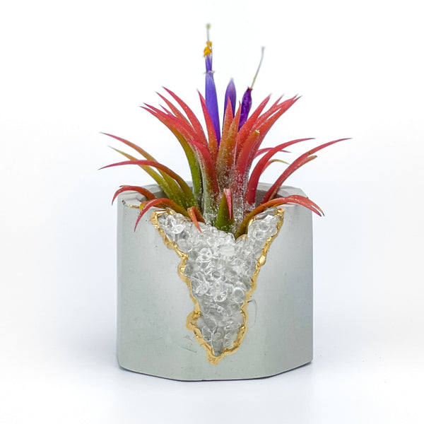 CLEAR QUARTZ GEODE PLANTER 6647153623190 – AURA 8 HOME