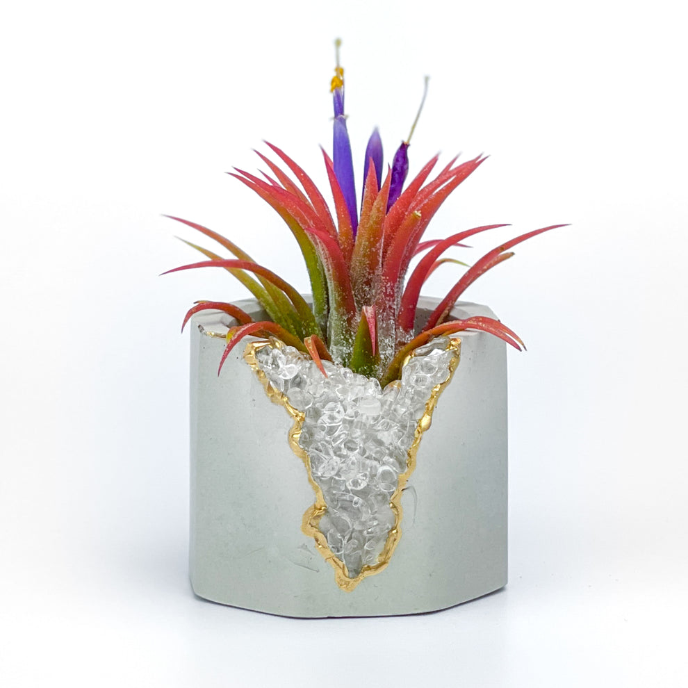 CLEAR QUARTZ GEODE PLANTER 6647153623190 – AURA 8 HOME