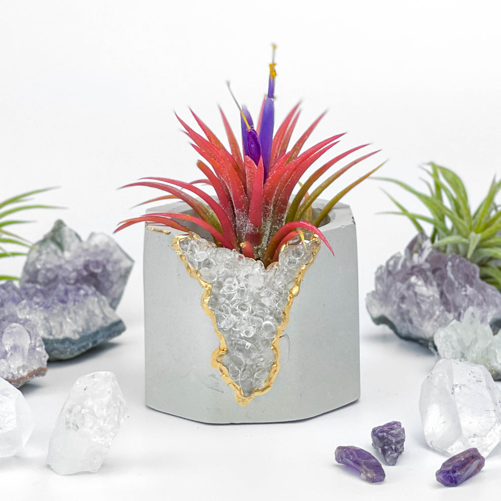 CLEAR QUARTZ GEODE PLANTER 6647153623190 – AURA 8 HOME