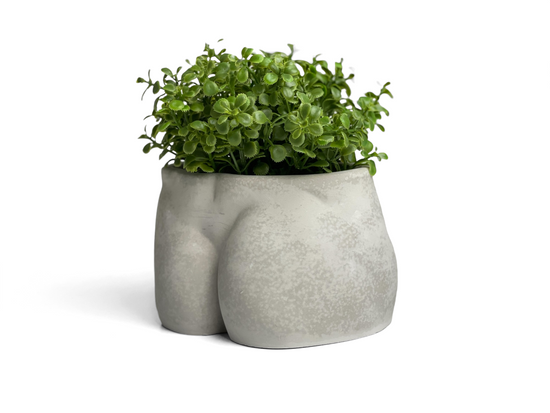 4” Planter, Male Body Planter Pot, Concrete Body Vase – AURA 8 HOME
