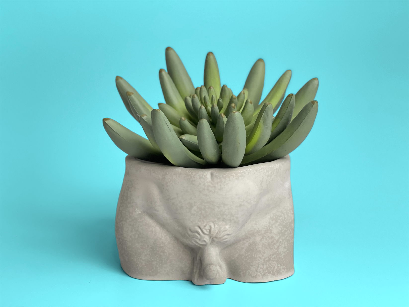 Male Body Planter Pot | Butt 7624524497046 – AURA 8 HOME