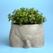 4” Planter, Male Body Planter Pot, Concrete Body Vase – AURA 8 HOME