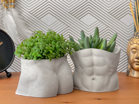 4” Planter, Male Body Planter Pot, Concrete Body Vase – AURA 8 HOME